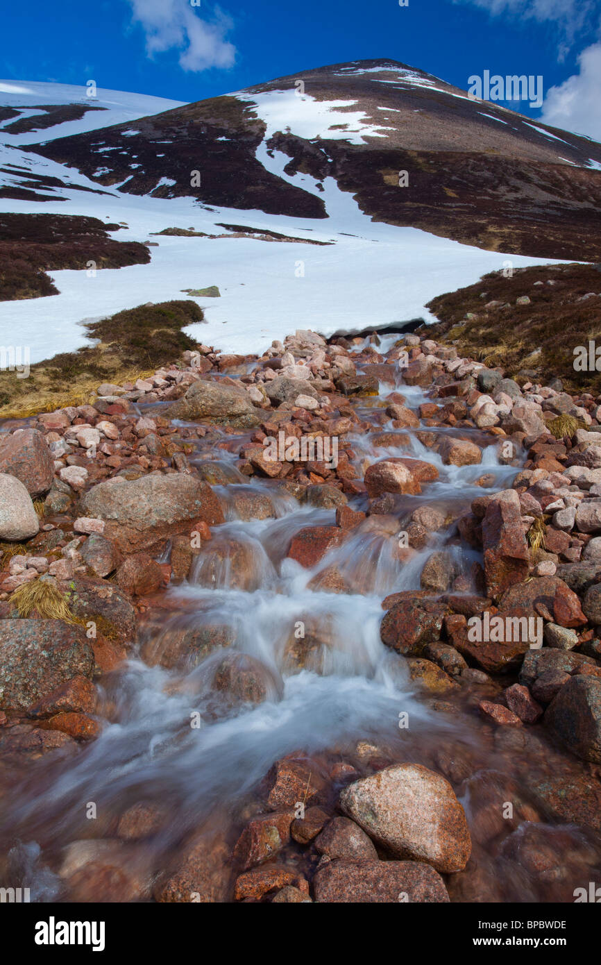 Scotland, Scottish Highlands, Cairngorms National Park. Mountain stream ...