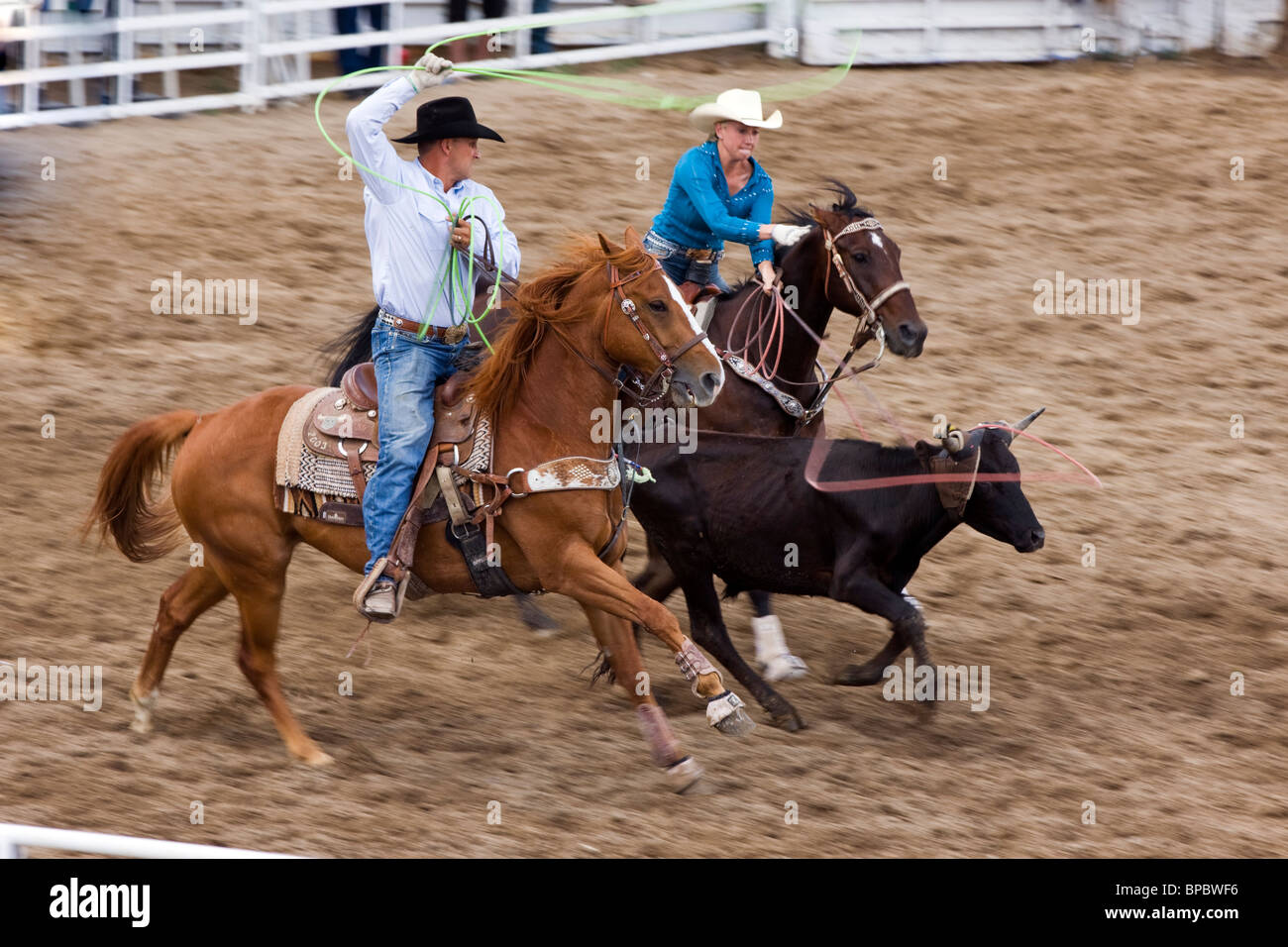 Tie Back Rope High Resolution Stock Photography and Images - Alamy