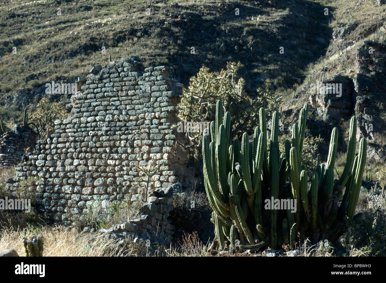 Inca uyo hi-res stock photography and images - Alamy
