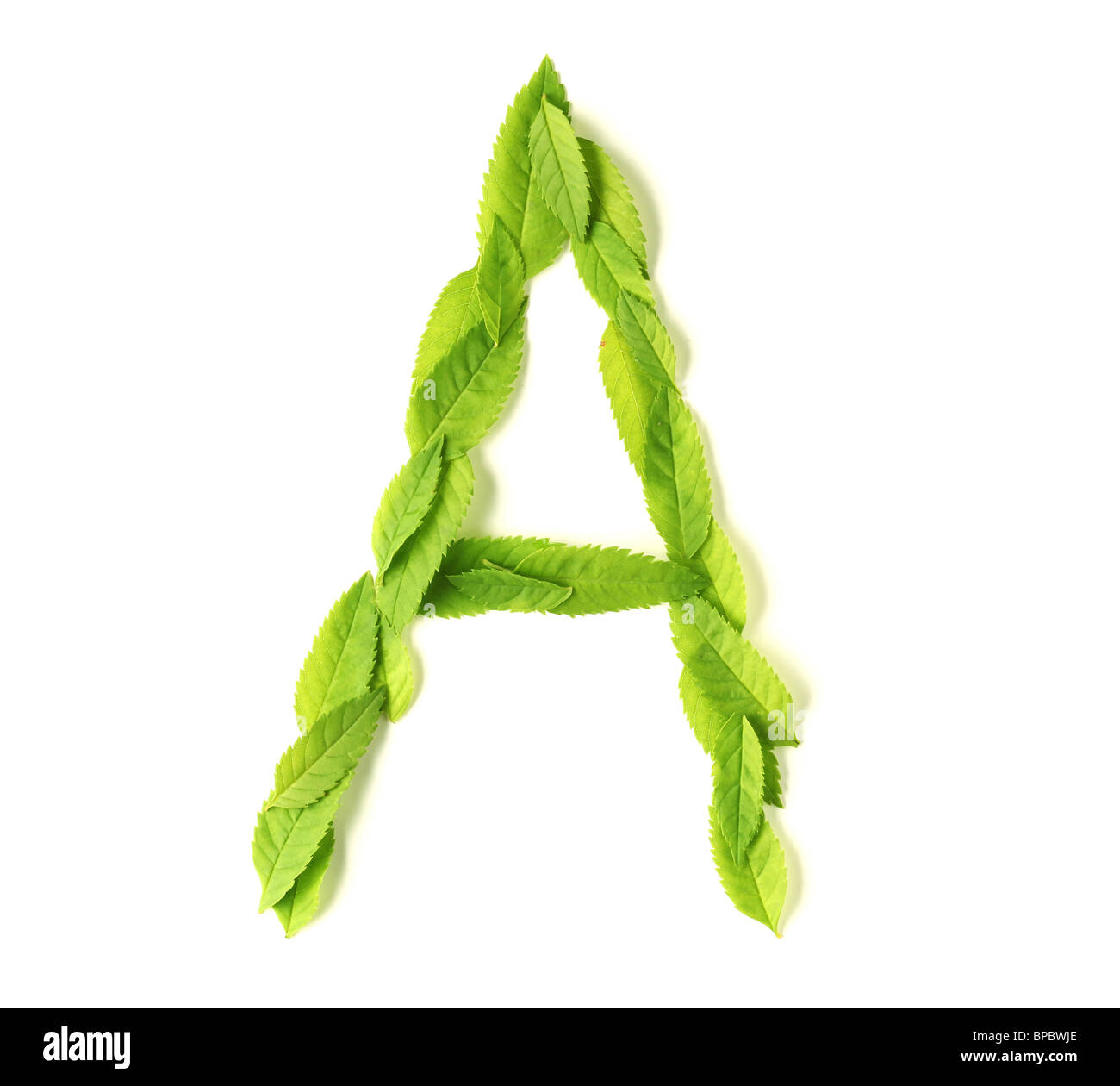 Uppercase letters made of leaves Stock Photo - Alamy