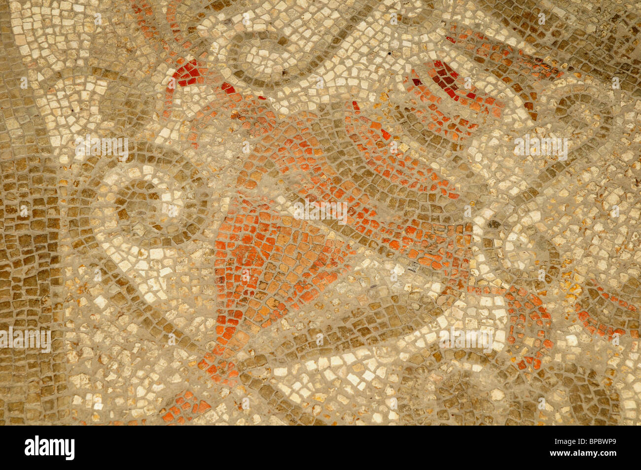 Roman floor mosaic, Fishbourne Roman Palace Stock Photo - Alamy