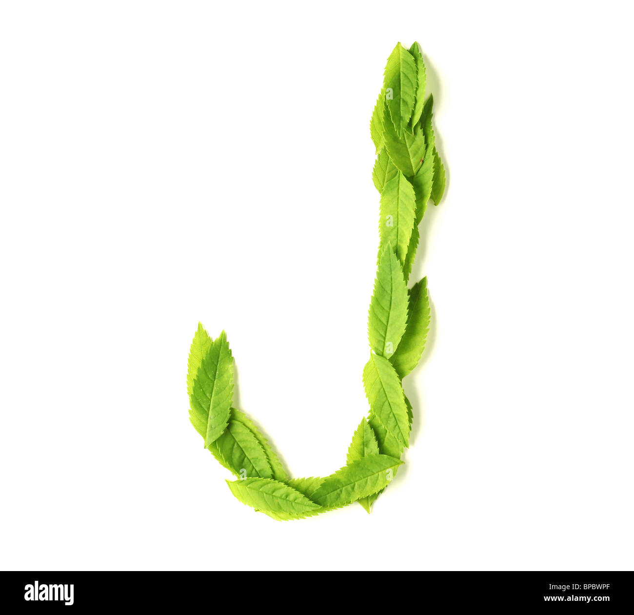 Uppercase letters made of leaves Stock Photo - Alamy