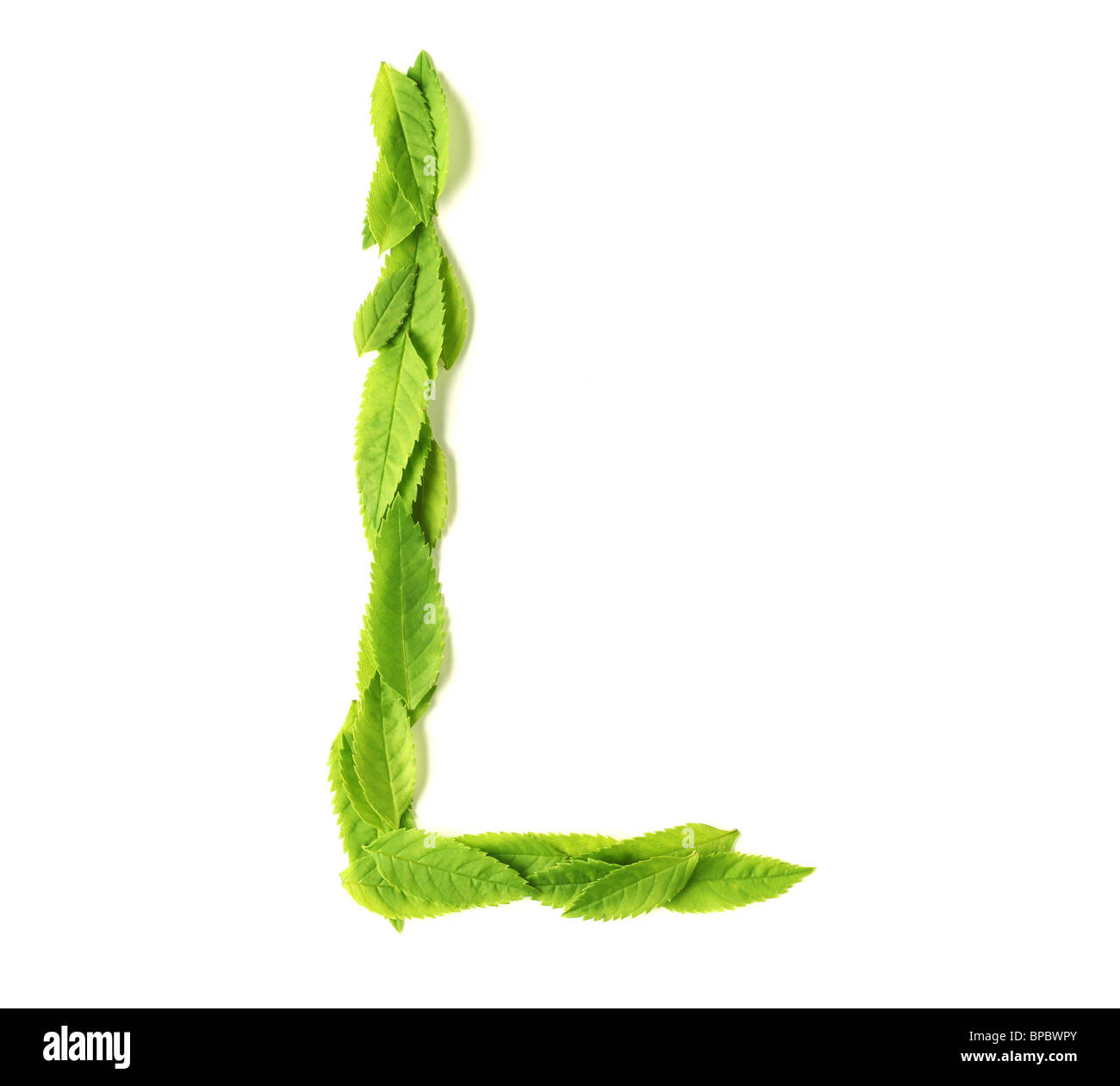 Uppercase letters made of leaves Stock Photo - Alamy