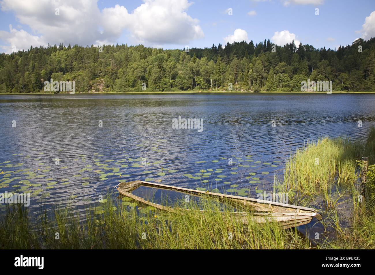 Norwegian lake with sunken wooden rowing boat, Halden, Norway Stock ...