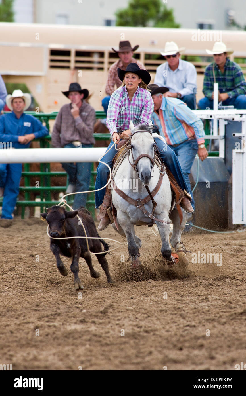 Cowgirl on horseback competes in the tie-down roping event, Chaffee ...