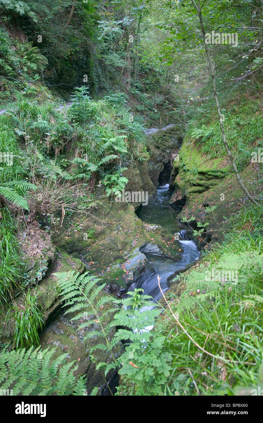 Lydford Gorge, Dartmoor, Devon, UK Stock Photo - Alamy