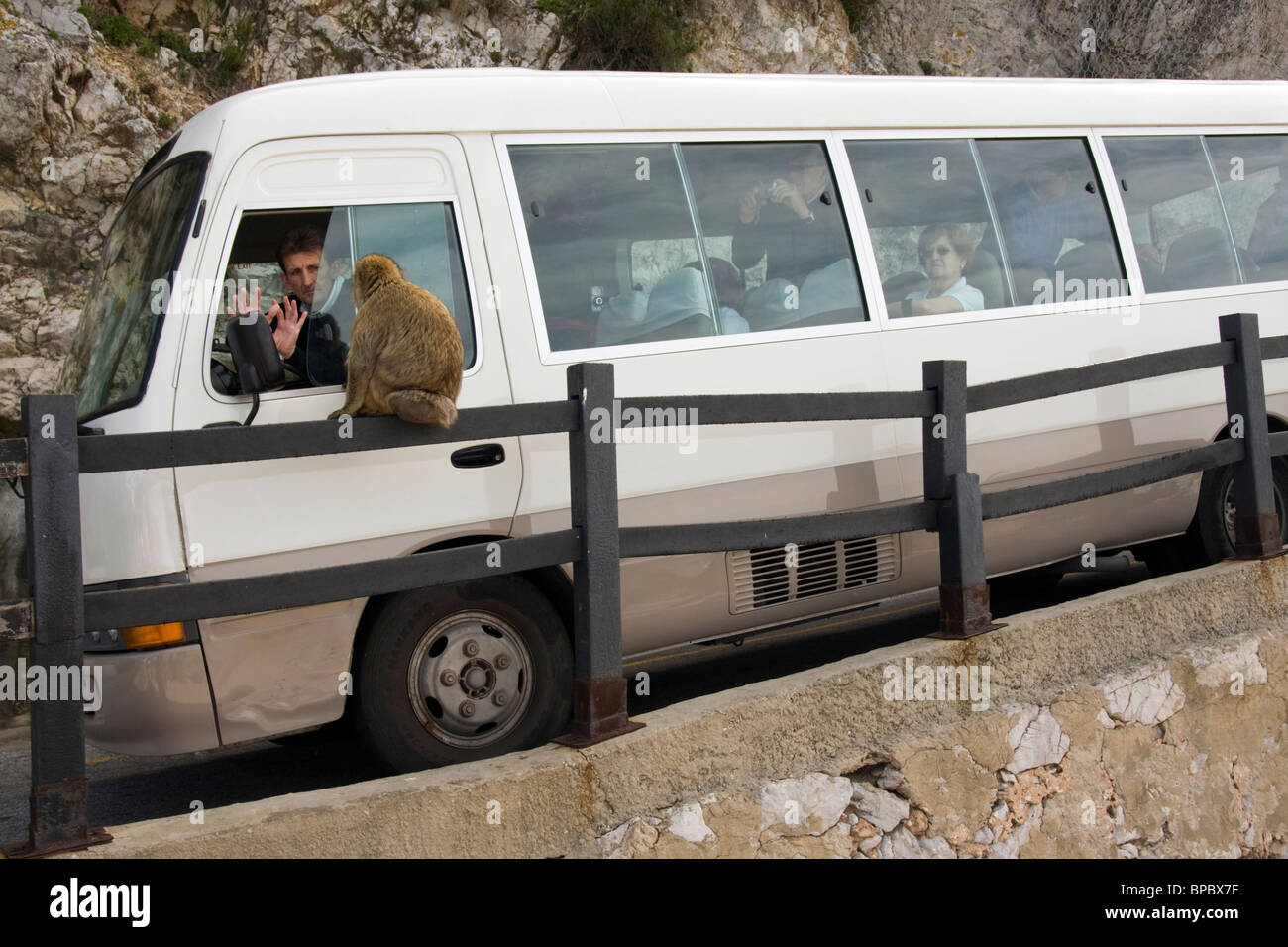 Monkey bus hi-res stock photography and images - Alamy