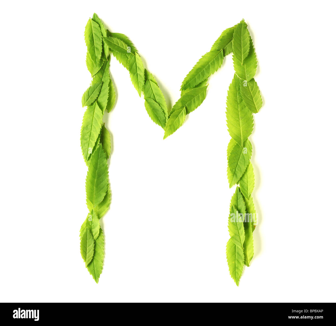 Uppercase letters made of leaves Stock Photo - Alamy