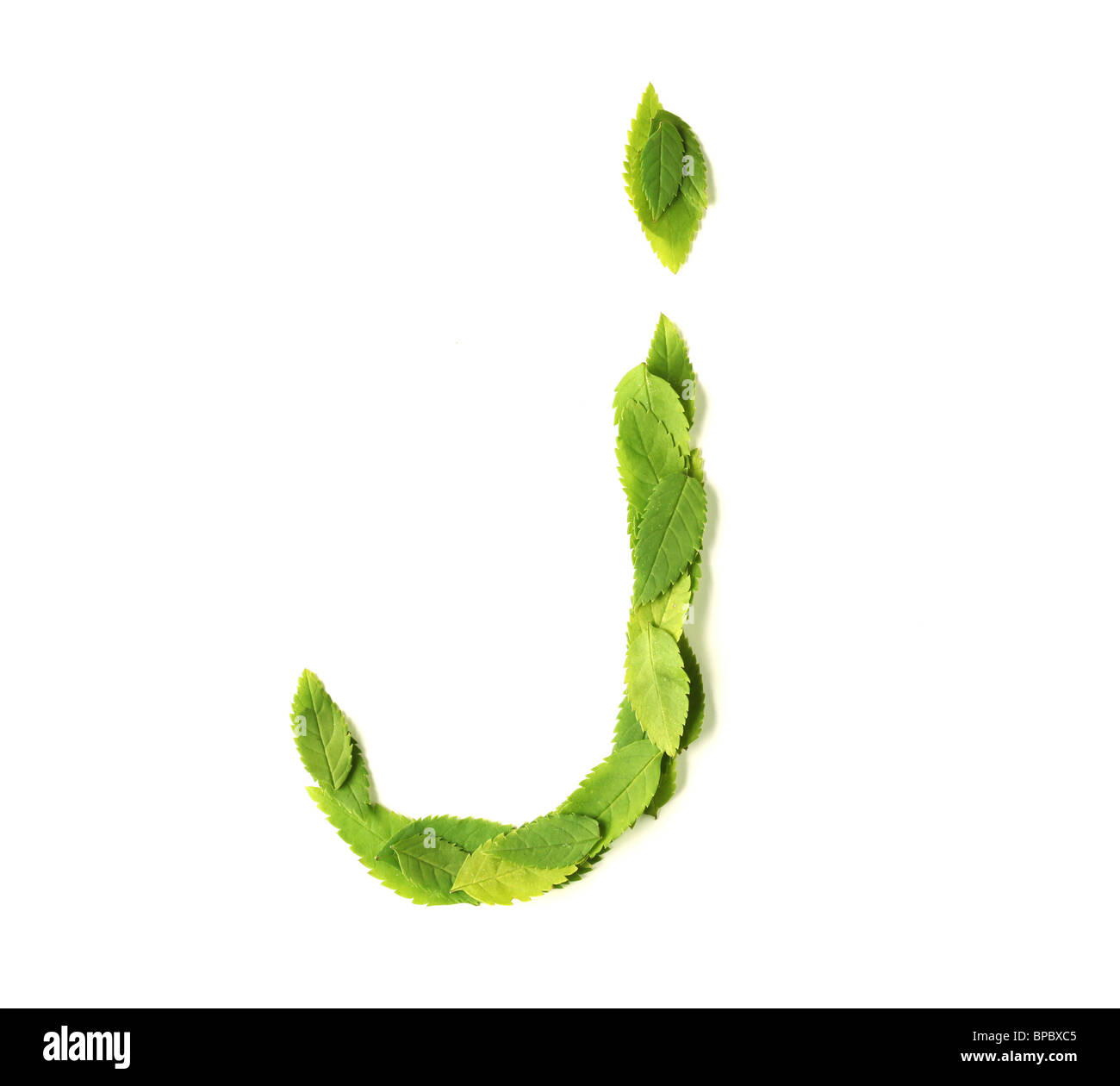 Lowercase letters made of leaves Stock Photo - Alamy