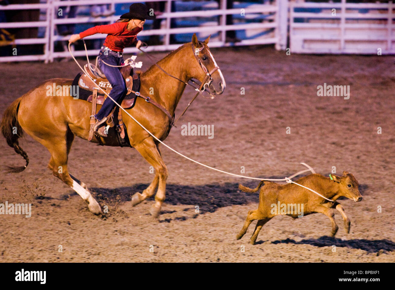 Equestrian Skill High Resolution Stock Photography and Images - Alamy