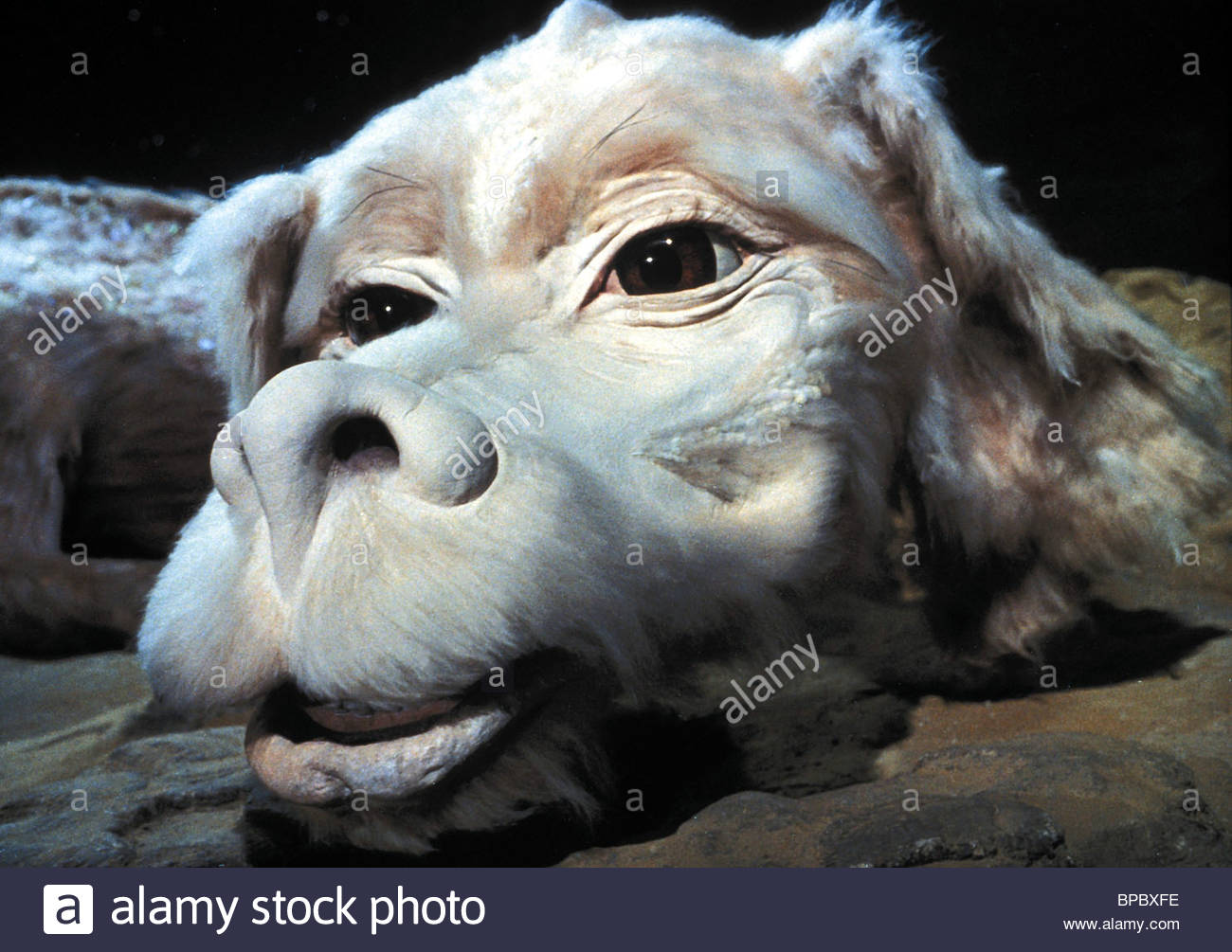 Falkor Stock Photos & Falkor Stock Images - Alamy