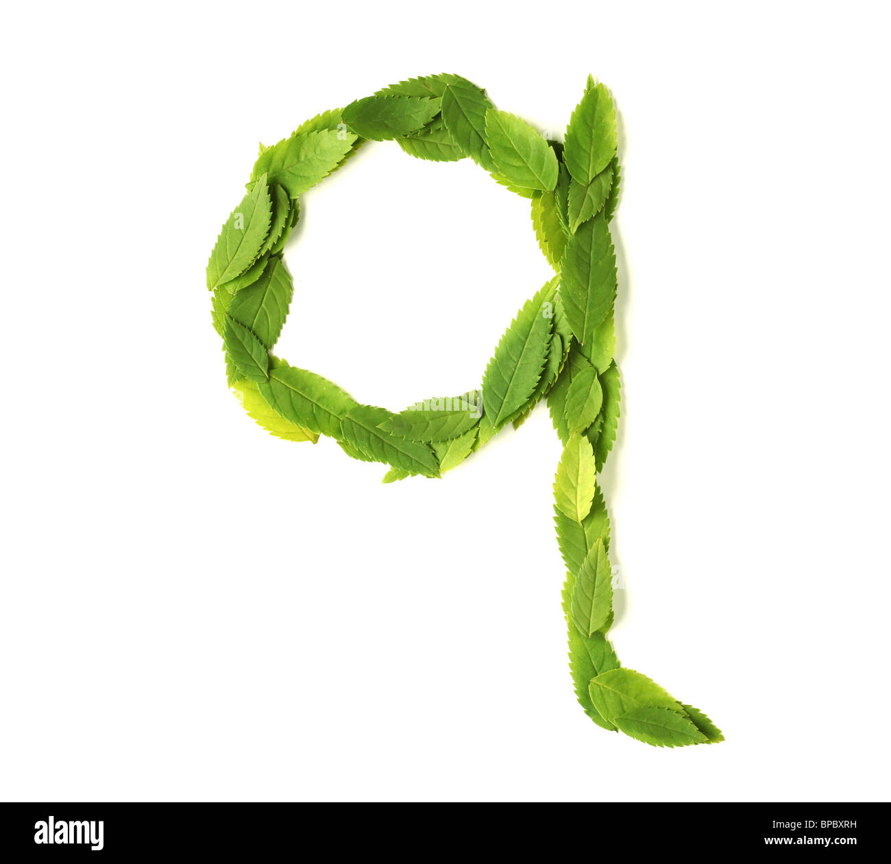 Lowercase letters made of leaves Stock Photo - Alamy