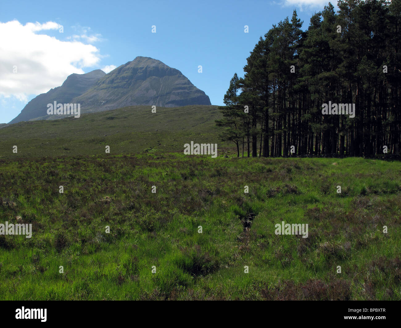 Kinlochewe highlands forest hi-res stock photography and images - Alamy