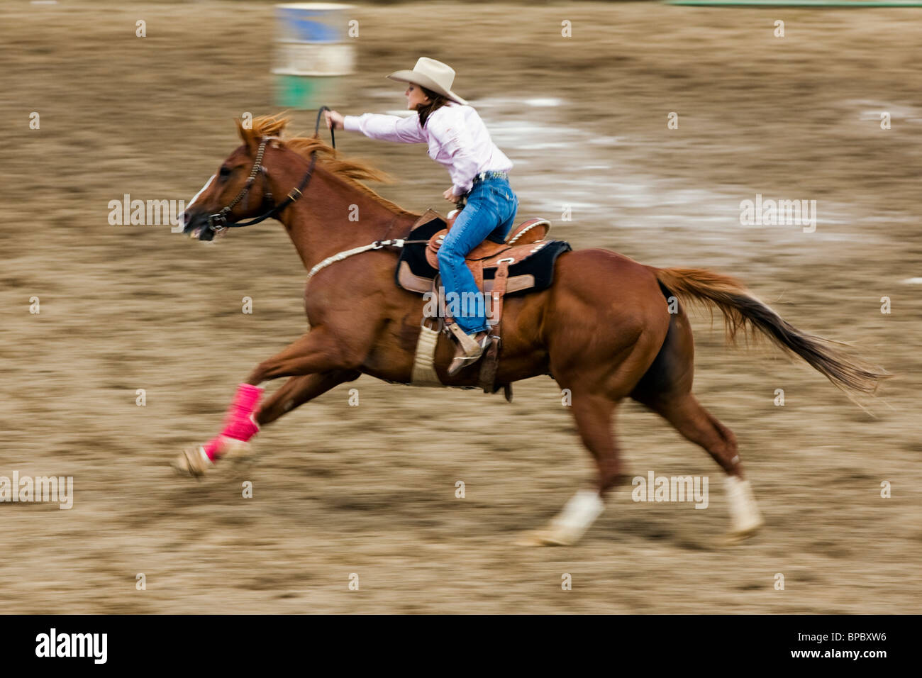 Cowgirl on horseback riding in the ladies barrel racing event, Chaffee ...