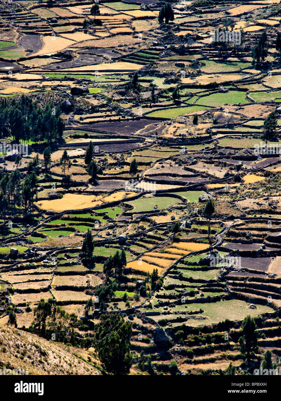 Terraced hillside peru hi-res stock photography and images - Alamy