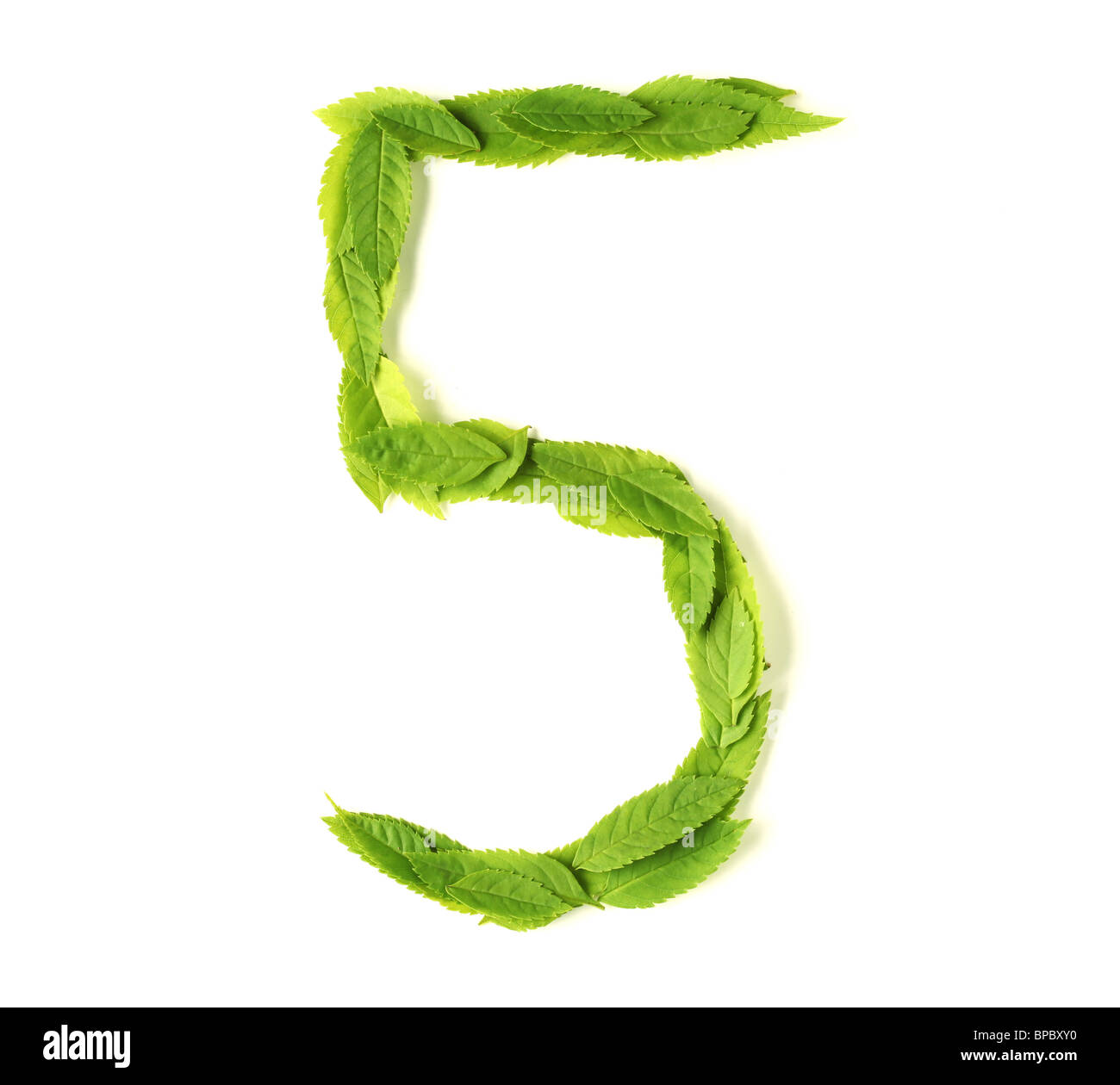 Numbers made of leaves Stock Photo - Alamy
