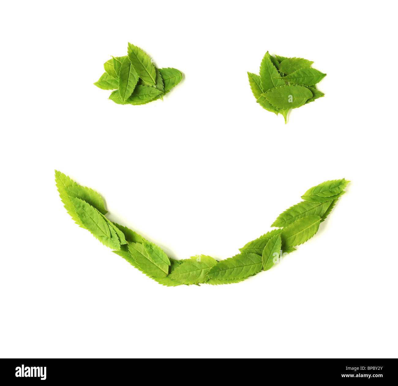 Smiley face made of leaves Stock Photo - Alamy