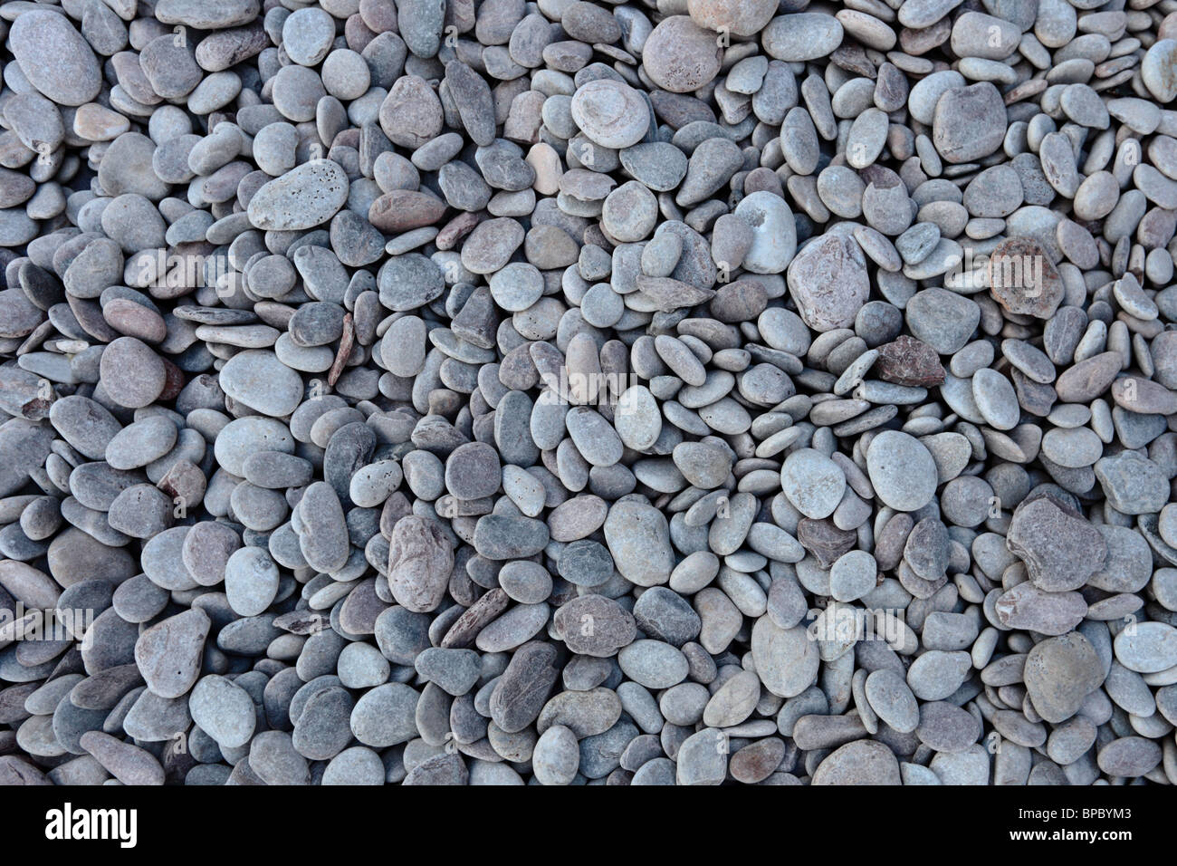 Pebbles on a beach in Devon Stock Photo - Alamy