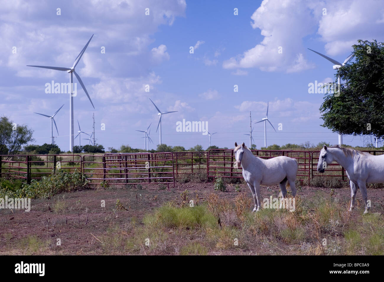 Texas Ranch Wind Turbines High Resolution Stock Photography and Images ...