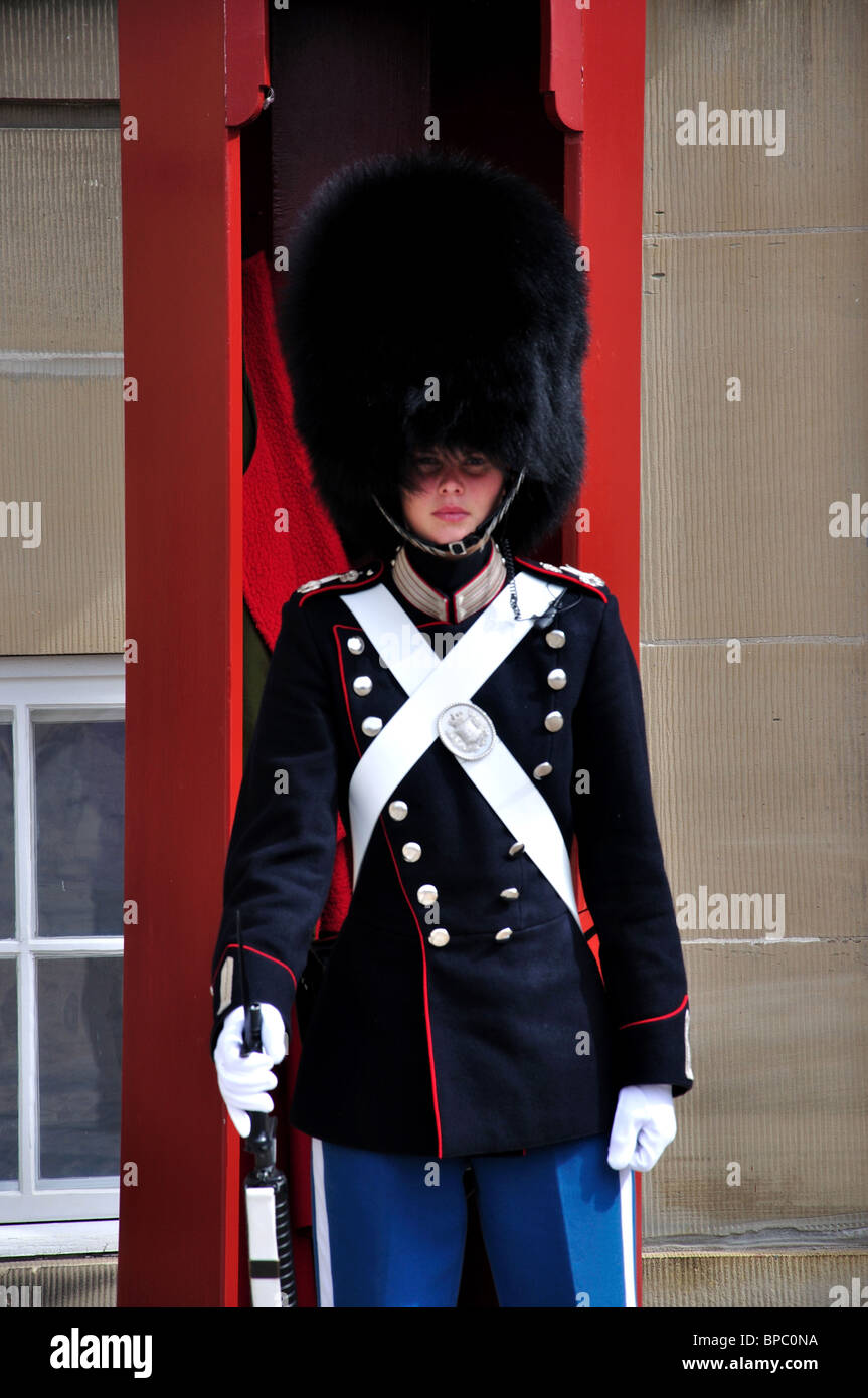 The Royal Guard, Amalienborg Palace Square, Copenhagen (Kobenhavn ...