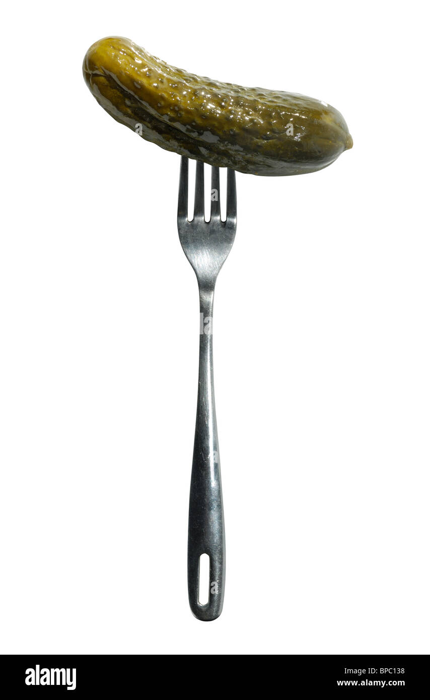 Large dill pickle on a fork isolated silhouette with a clipping path on ...