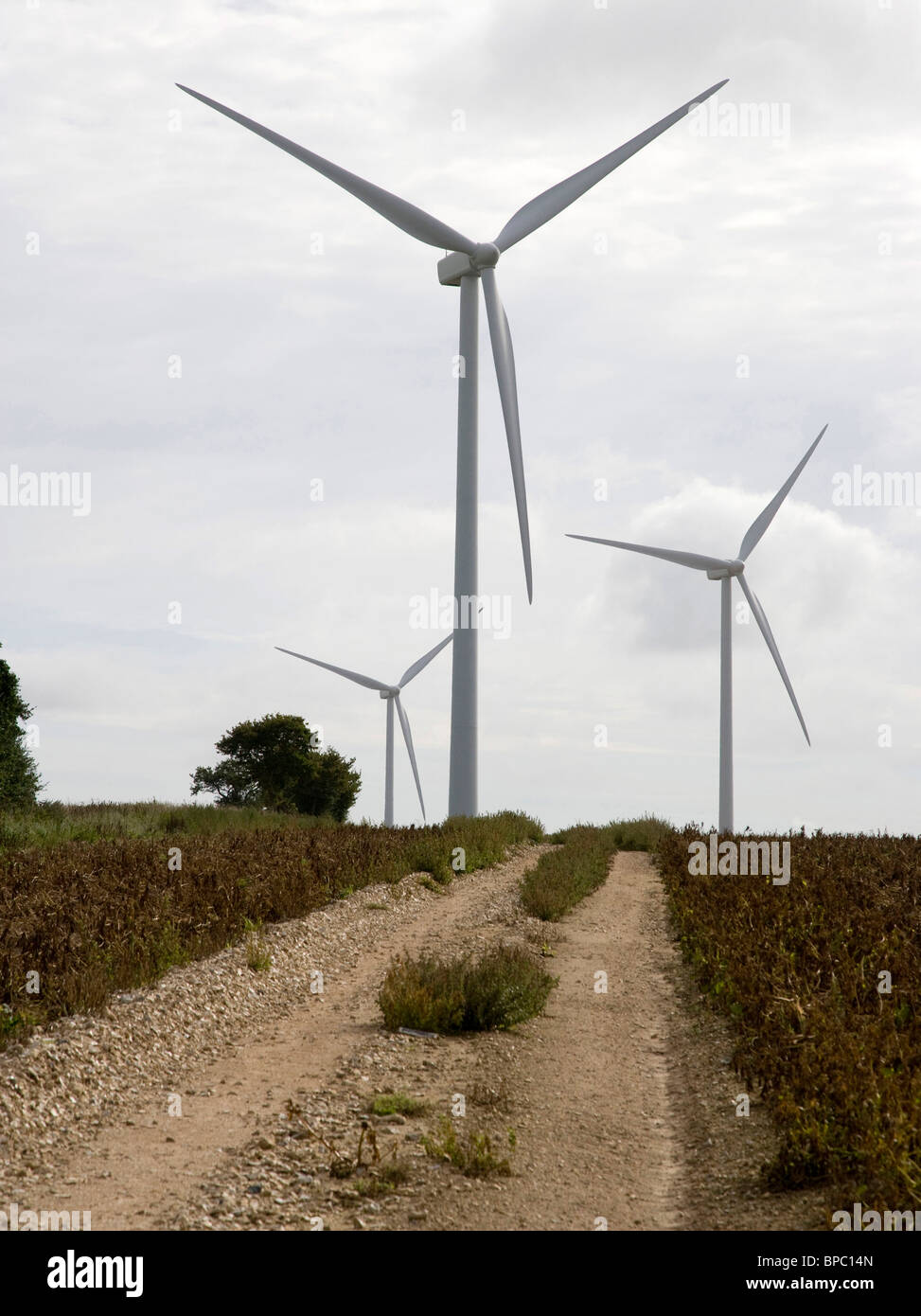 Wind Turbines in Norfolk Stock Photo - Alamy