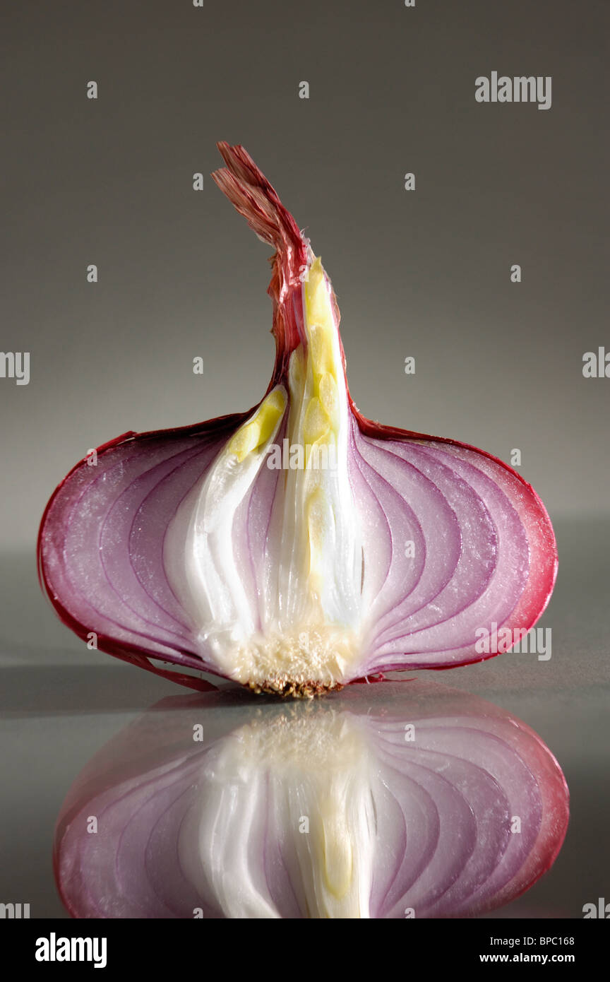Red onion isolated on gray background artistic food still life Stock ...