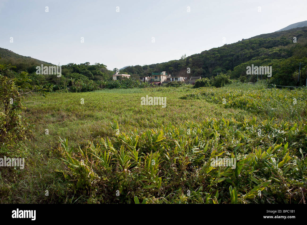 Hong Kong, The old village of Tung O. Many traditional houses deserted ...
