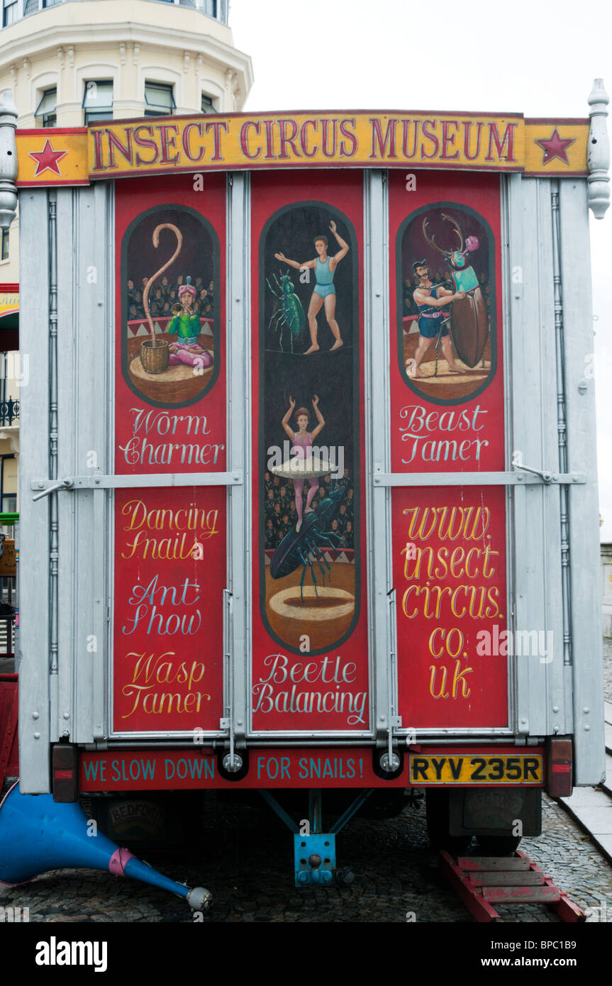 The Insect Circus Museum Stock Photo - Alamy