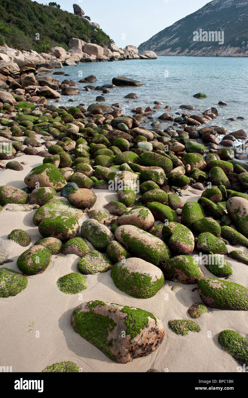Sham wan hong kong hi-res stock photography and images - Alamy