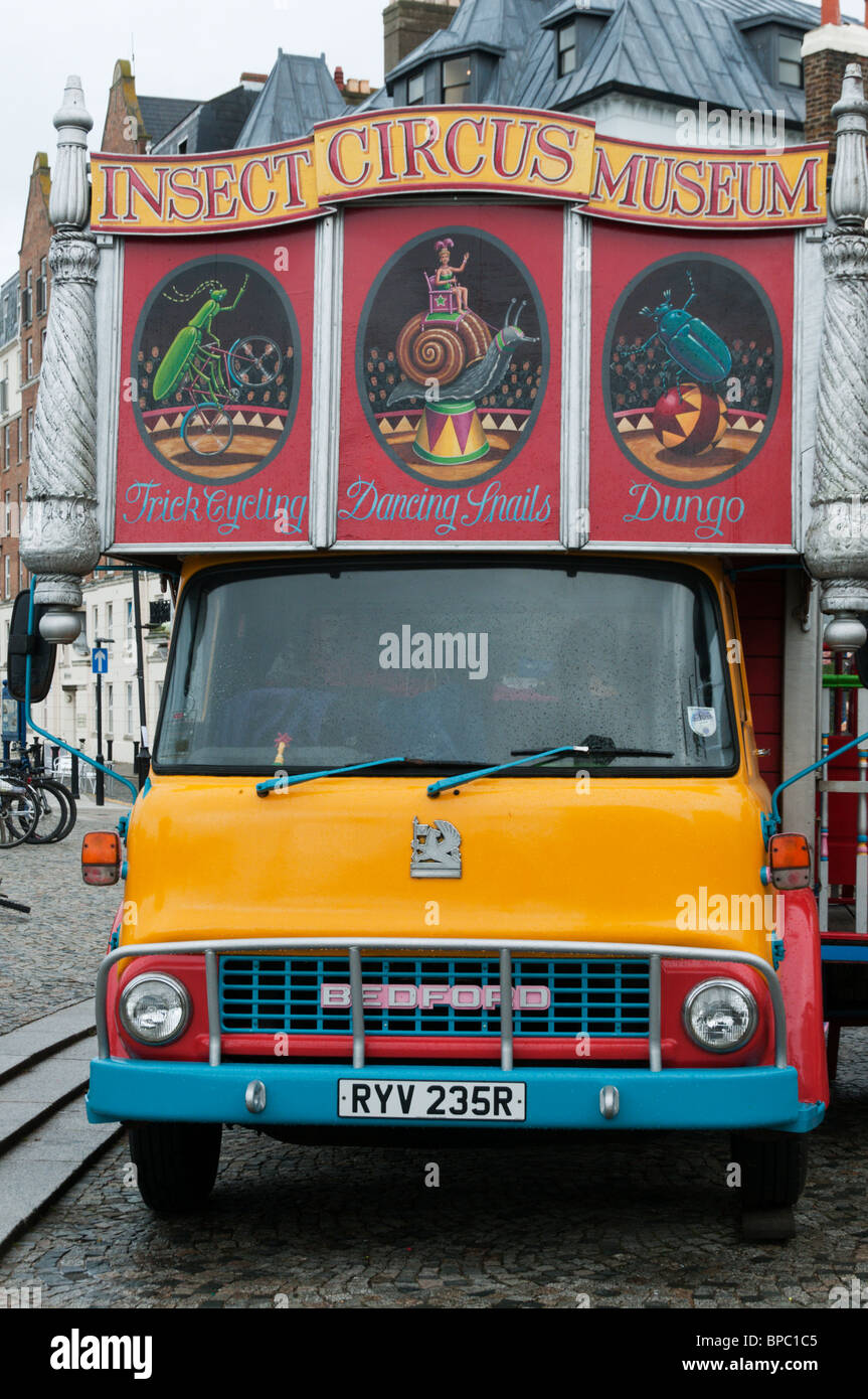 The Insect Circus Museum Stock Photo - Alamy