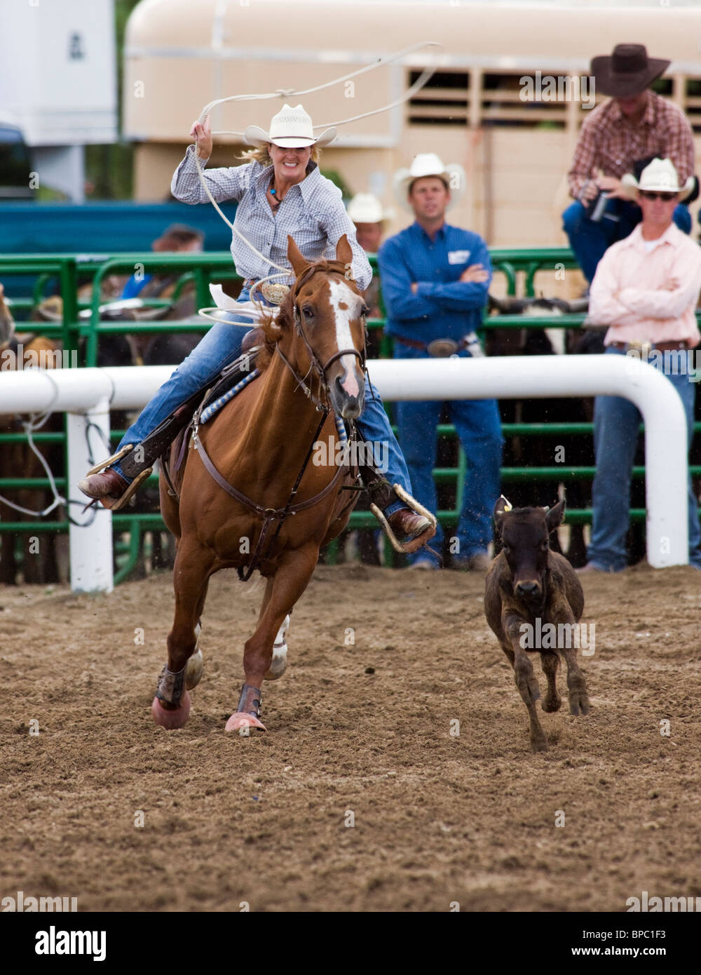 Cowgirl on horseback competes in the tie-down roping event, Chaffee ...
