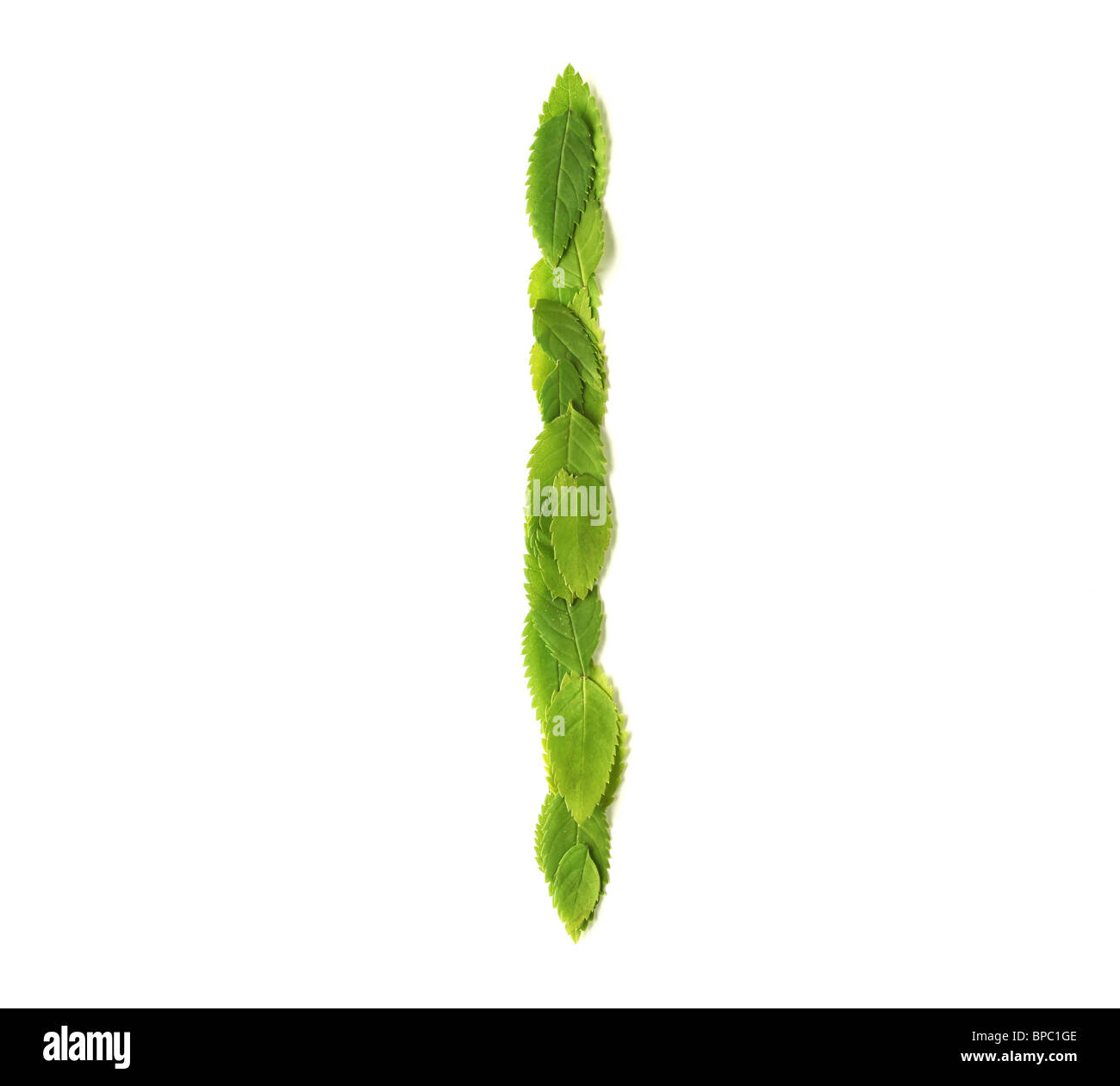 Green Leaves Ecology Letter Alphabet High Resolution Stock Photography ...