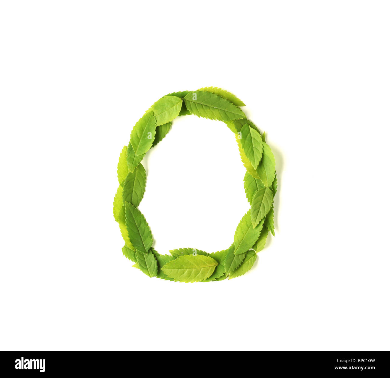 Leaves font letter lowercase Cut Out Stock Images & Pictures - Alamy