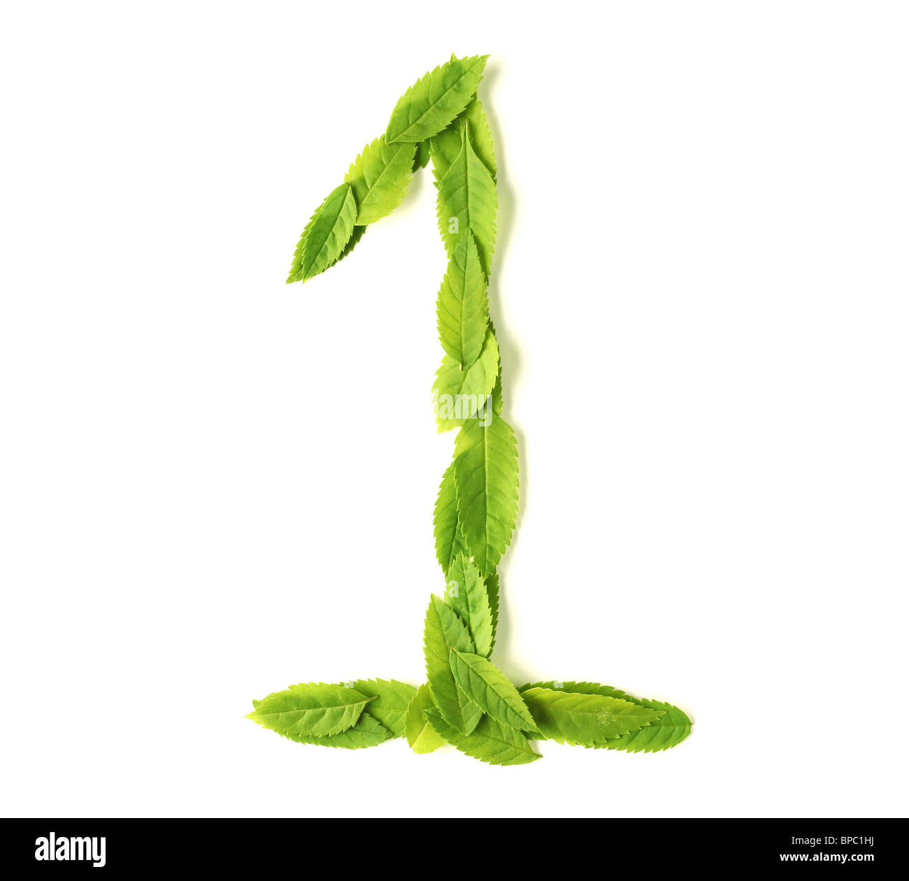 Numbers made of leaves Stock Photo - Alamy