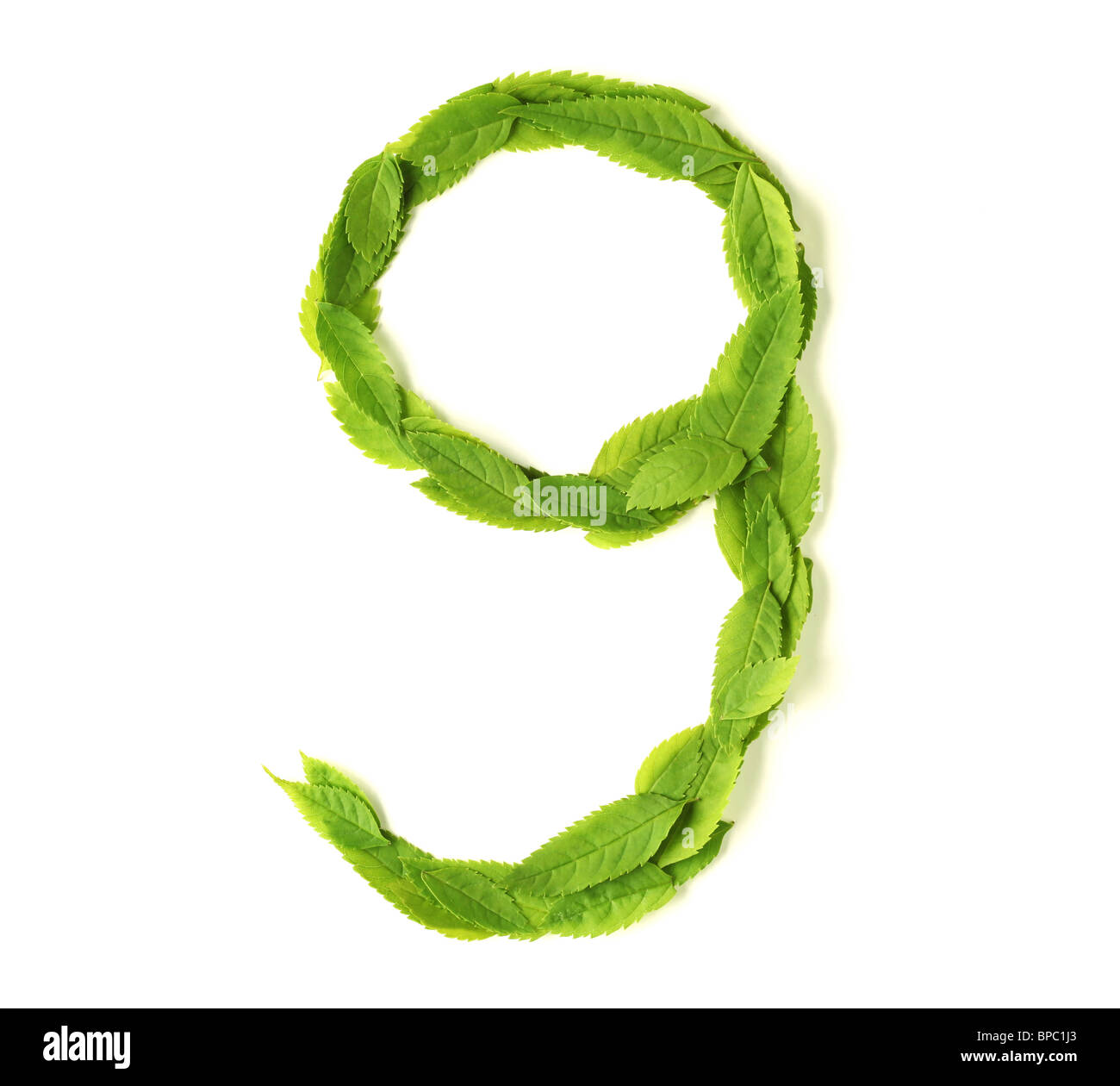 Numbers made of leaves Stock Photo - Alamy