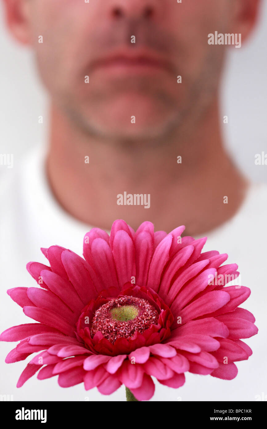 Man with flower Stock Photo - Alamy