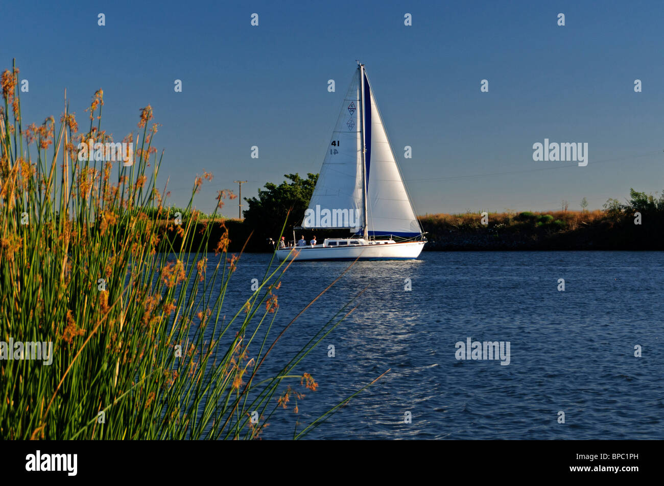 Sailboat on the Stockton Deep Water Ship Channel: San Joaquin River ...