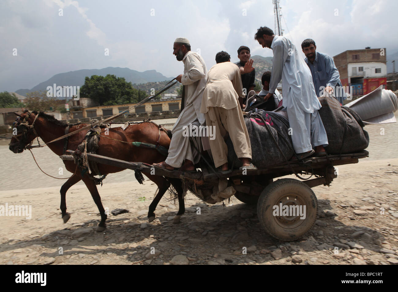 Cart horse pakistan hi-res stock photography and images - Alamy