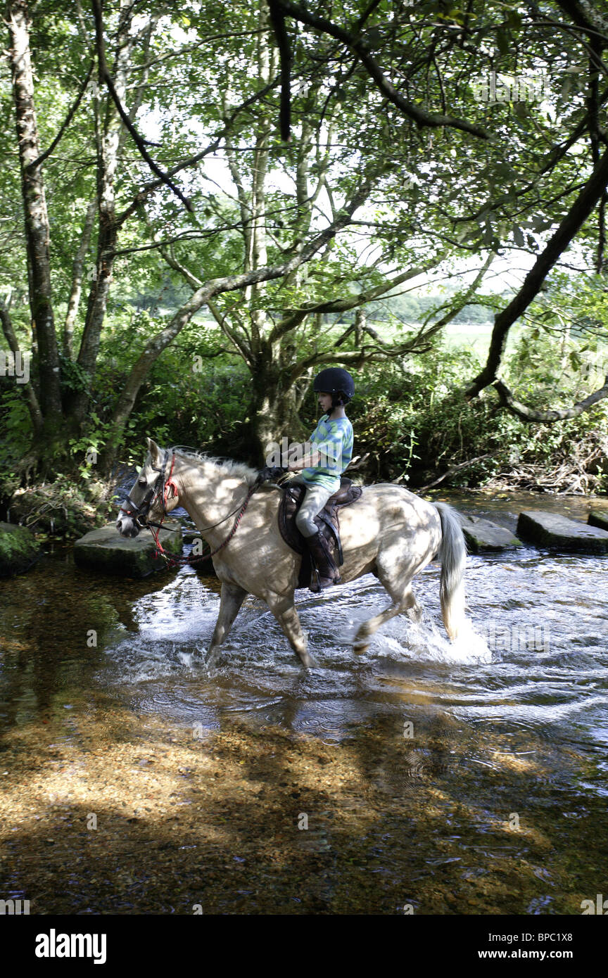 Riding On Horseback Through The Woods High Resolution Stock Photography ...