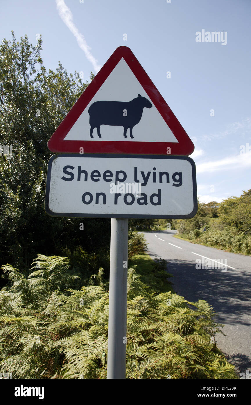 Sheep road sign hi-res stock photography and images - Alamy