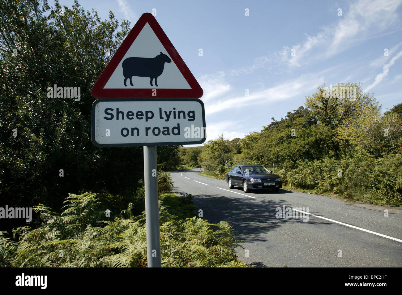 Warning sign saying Shep Lying In Road, Dartmoor, Devon Stock Photo - Alamy