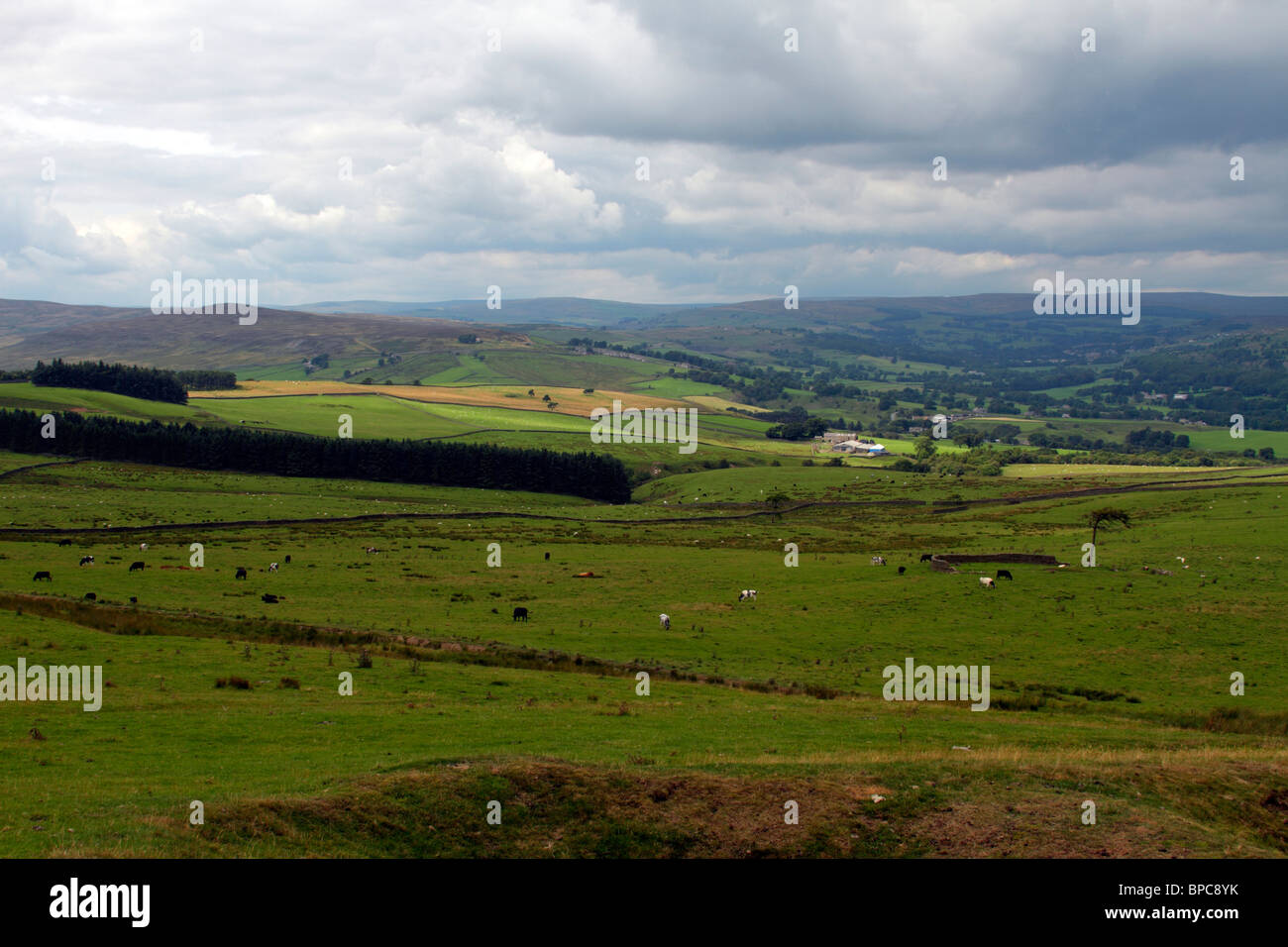 Frosterley hi-res stock photography and images - Alamy