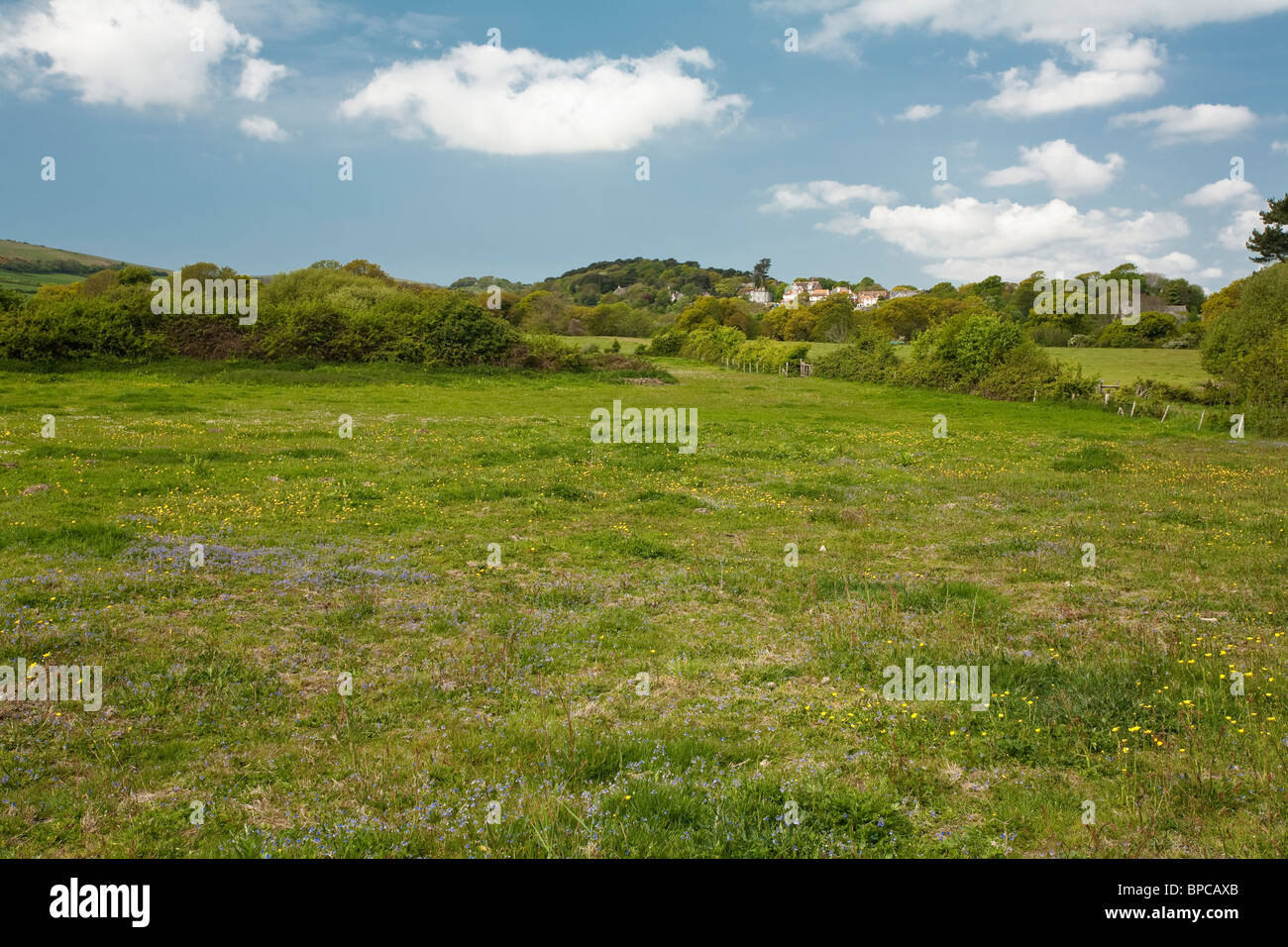Meadows uk grass hi-res stock photography and images - Alamy