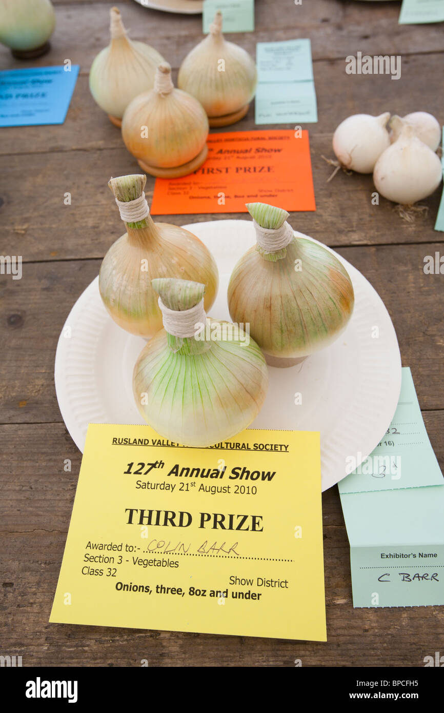 Onions on show in the produce tent at the Rusland Vale Horticultural ...