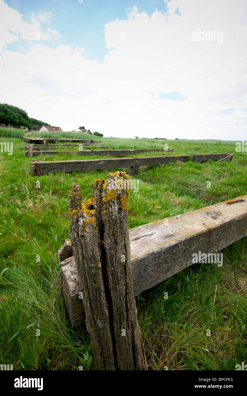Old aust ferry hi-res stock photography and images - Alamy