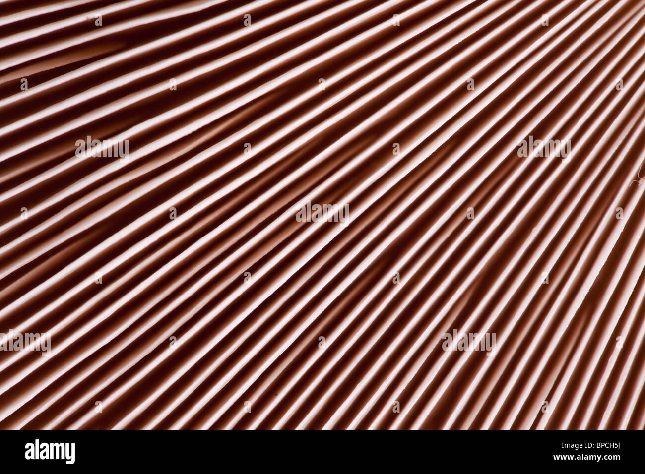 Line texture hi-res stock photography and images - Alamy