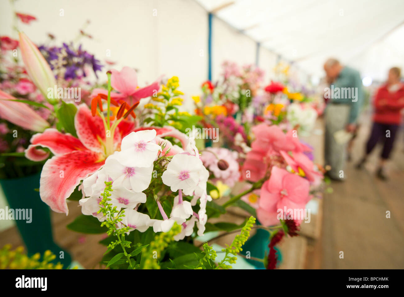 The floral competition in the produce tent at the Rusland Vale ...
