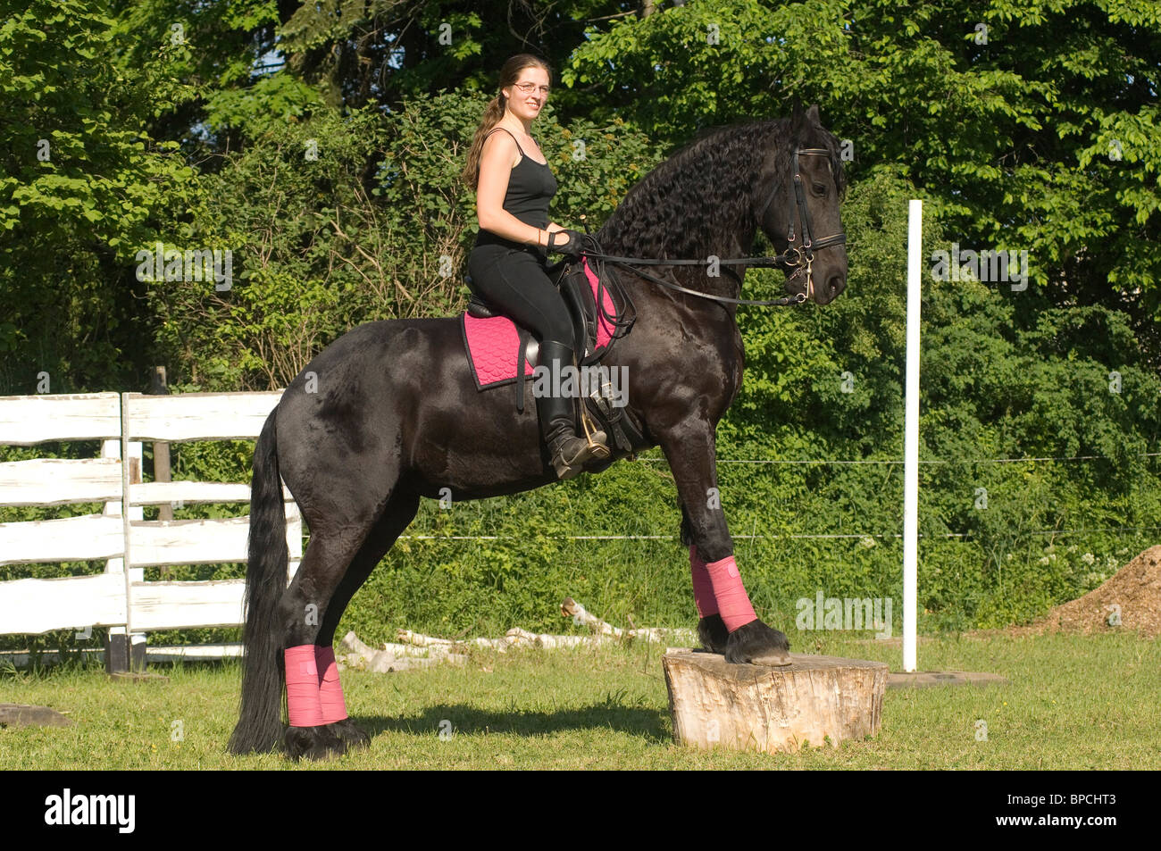 Friesian Horse Riding High Resolution Stock Photography and Images - Alamy