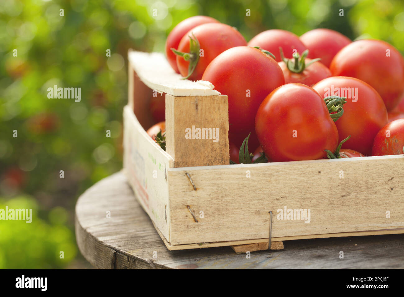 tomatoes in a box Stock Photo - Alamy